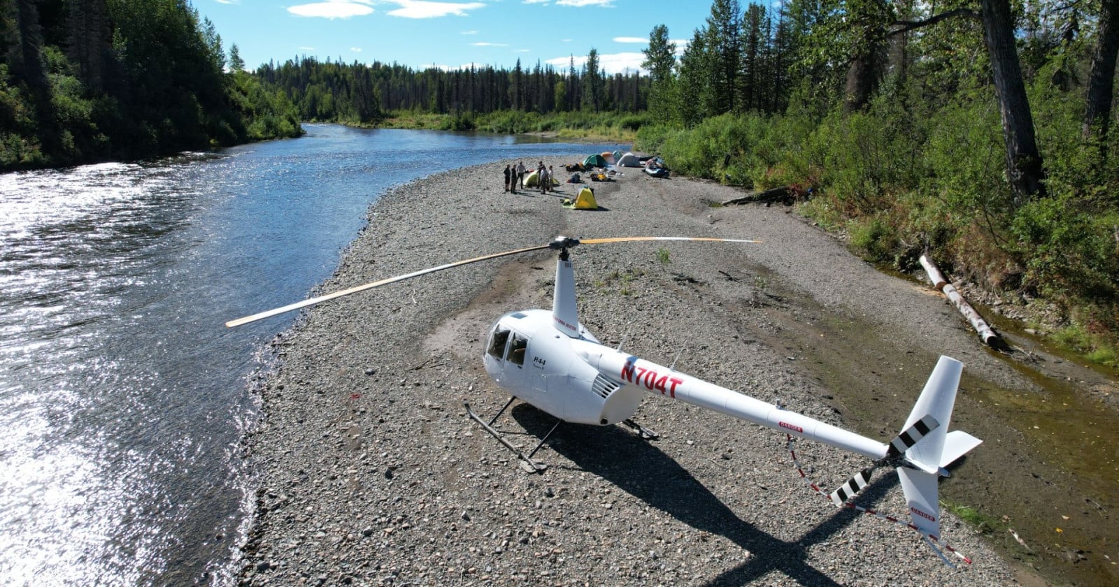 Alaskan King Salmon Info