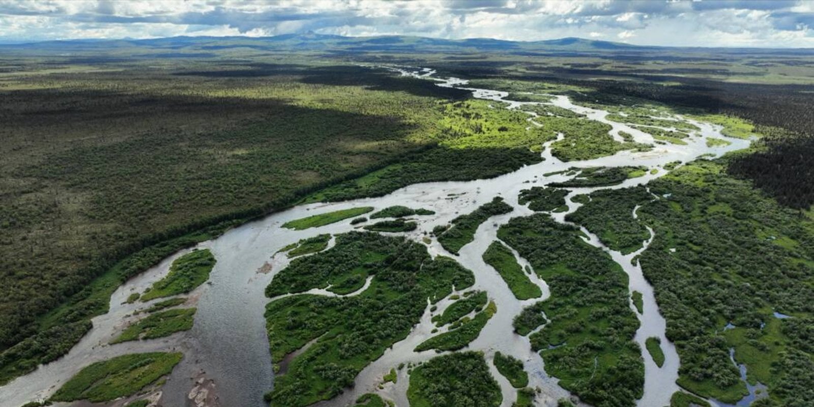 Epic Alaska Wilderness, Wildlife & Fly Fishing in the Bristol Bay Watershed