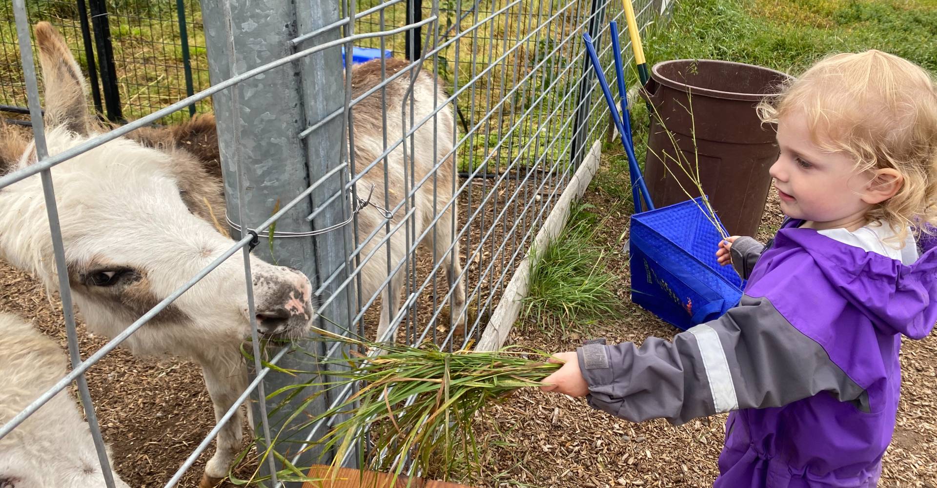 Top Ten Things to do with Your Family on an Alaska Vacation