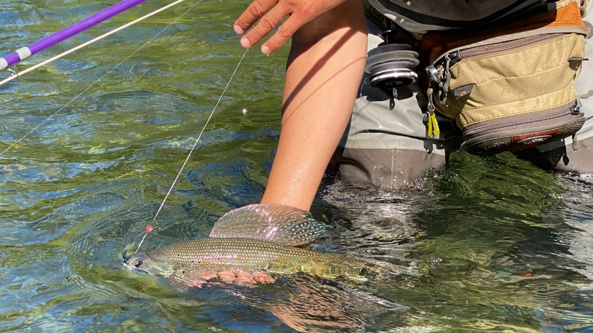 Walk & Wade Fishing in Alaska - Get Away From the Crowds