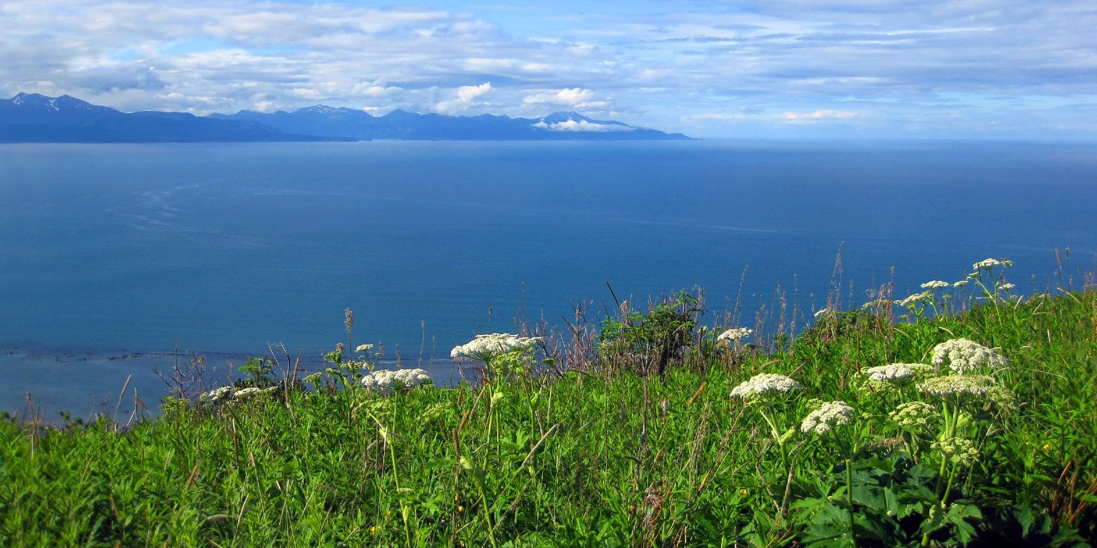 Salmon Falls Resort | Premier All-Inclusive Ketchikan Fishing ...