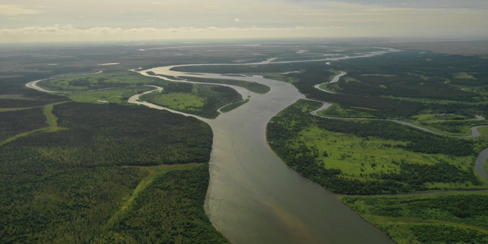 Naknek River | Fishing Overview & Top Rated Fishing Trips